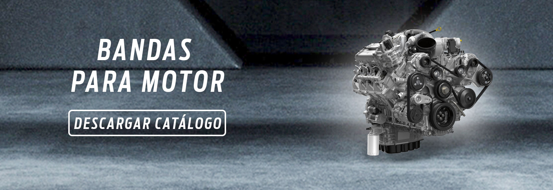 Bandas para Motor | Motorcraft México