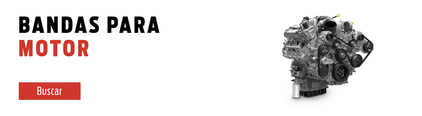 Bandas para Motor | Motorcraft México